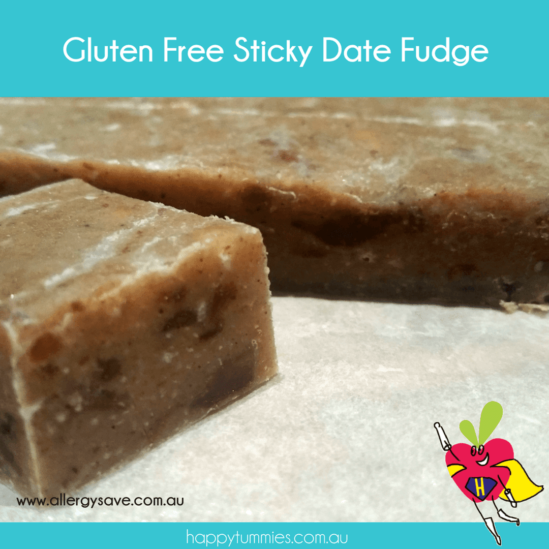 Gluten Free Slice | Gluten Free Snacks - Happy Tummies Pty Ltd